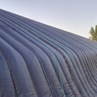 China Agriculture Farming Solar Hydroponic Greenhouse Passive Solar for sale