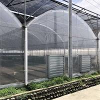 China Agriculture Natural Ventilation Greenhouse Temperature Control Multi Span Greenhouse for sale