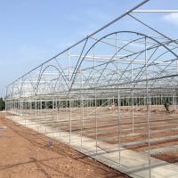 China Agriculture Natural Ventilation Greenhouse Temperature Control Multi Span Greenhouse for sale