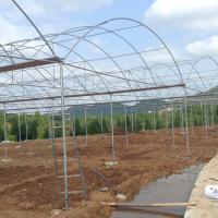 China Hot Galvanized Structure Agriculture Polytunnel Greenhouse Wind Resistant Multi-Span Greenhouse for sale