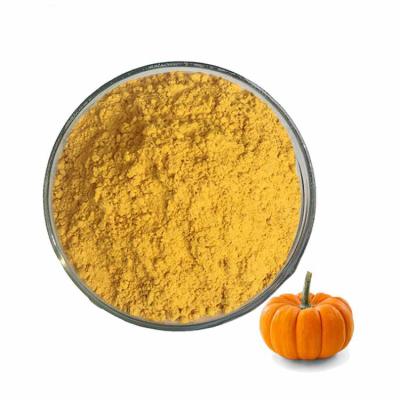 China Organic Dried Pumpkin Powder 100-120 Mesh ISO FDA HACCP Certified for Food Beverage for sale