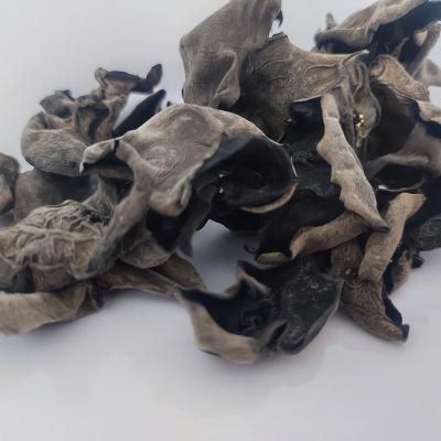 China Dried Black Wood Ear Mushroom 10kg Carton Natural Whole Fungus for Export for sale
