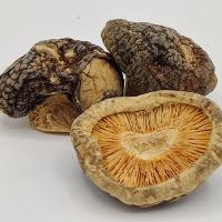 China Dried Shiitake Mushrooms Flat Shape High Protein 1 Year Shelf Life Bulk Bag Packaging for sale