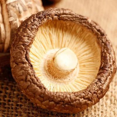 China Dried Shiitake Mushroom Dices High Protein 500g Shelf Life 1 Year for sale