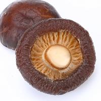 China Organic Dried Shiitake Mushrooms 1kg Bag Premium Quality from China for Soups and Stir Fries for sale