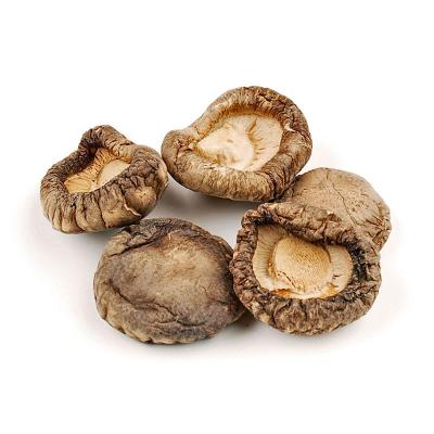 China Dried Shiitake Mushrooms 1kg Bag High Protein Natural Brown from China for sale