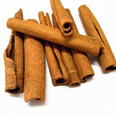 China Dried Cinnamon Stick Spices 12 Month Shelf Life Natural Ceylon Cassia Cinnamon Bulk 5000mt for sale