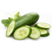 China 100% Natural Air Dried Dehydrated Cucumber Slices for sale
