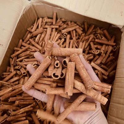 China Premium Ceylon Cinnamon Sticks  For Spices And Herbs for sale