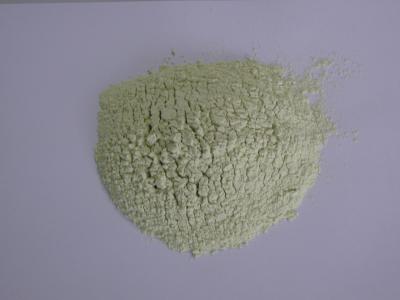 China Japanese Style Pure Wasabi Powder 100-120 Mesh with 8% Max Moisture for Food Industry for sale
