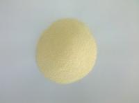 China Dried Garlic Pods 40-80 Mesh New Crop HACCP FDA Certified Bulk 20kg Carton for sale