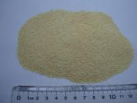 China AD Garlic Granules 40-60mesh Grade A Natural Slight Yellow Max 8% Moisture for Seasoning for sale