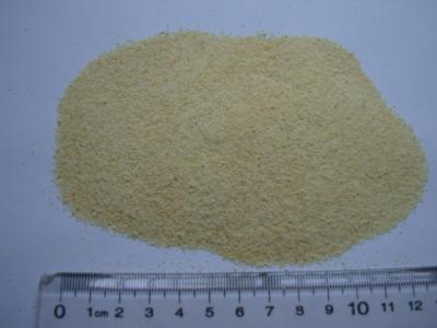 China AD Garlic Granules 40-60mesh Grade A Natural Slight Yellow Max 8% Moisture for Seasoning for sale