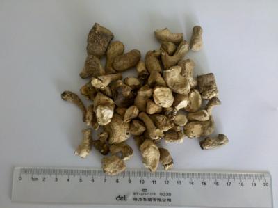 China HACCP Certified Dried Shiitake Mushroom Cubes - Dark Brown Whole Mushrooms with 13% Max Moisture in 10kg Cartons for sale