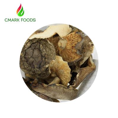China Premium Dried Oyster Mushrooms Grade B Whole Wild Mushrooms 13% Moisture 10kg Carton Packaging for sale