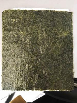 China Grade A Roasted Sushi Nori Sheets 19x21cm with 5% Max Moisture - ISO9001 HACCP FDA Certified for sale