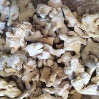 China Whole Dried Ginger Root New Crop Grade A 50kg Carton Packing No Additives for sale