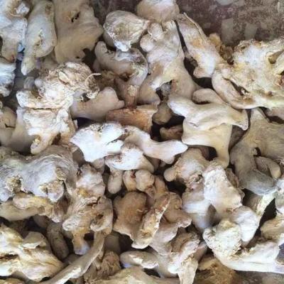 China Whole Dried Ginger Root New Crop Grade A 50kg Carton Packing No Additives for sale