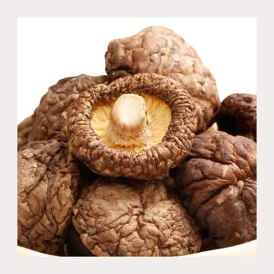 China Dried Shiitake Mushroom Slices 1kg Medium Size Air Dried Umami Rich Cooking Ingredient for sale