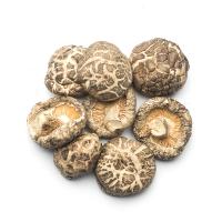China Dried Shiitake Mushrooms 1kg Halal Certified Dehydrated for Culinary Use for sale