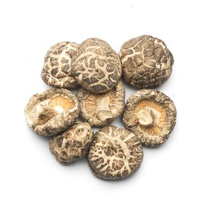 China Dried Shiitake Mushrooms 1kg Halal Certified Dehydrated for Culinary Use for sale