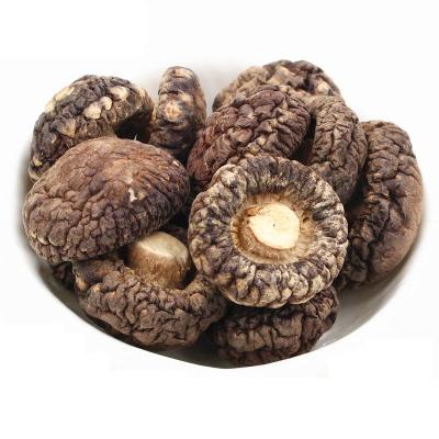 China Dried Shiitake Mushrooms 1kg Bag Shelf Life 1 Year Brown Dehydrated Flat for sale
