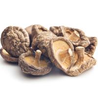 China Dried Shiitake Mushrooms - 1kg Bags, 5000MT Annual Supply, Natural Brown Flat Mushrooms for Cooking for sale