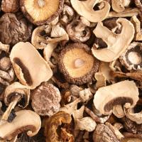 China 12-Month Shelf Life Dehydrated Flat Flavored Mushrooms for sale