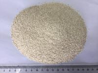China Dried Horseradish Root Granules 1-3mm White Color New Crop for Export for sale