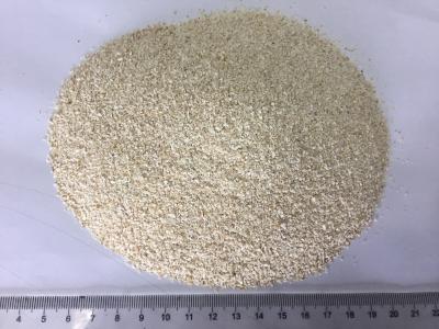 China Dried Horseradish Root Granules 1-3mm White Color New Crop for Export for sale