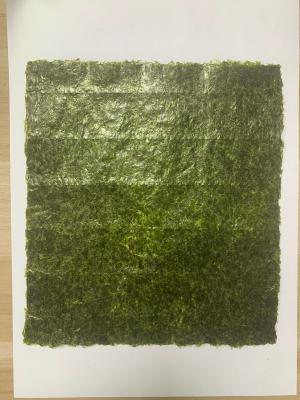 China Dark Green Roasted Sushi Nori 100 Sheets 19x21cm Dried Seaweed for Sushi Making for sale