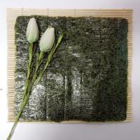 China Wholesale Roasted Sushi Nori Seaweed Sheets 19x21cm Dark Green Yaki Nori for sale