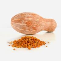 China Dehydrated Vegetables Bulk Dried Pumpkin Granular Air Dried Style for sale