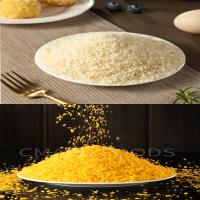 China Japanese Panko Bread Crumbs 12 Month Shelf Life Granular Shape Original Flavor for Breading 25kg Bulk for sale