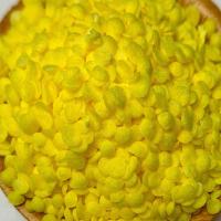 China Wholesale Dry Bread Crumbs Supplier | Support Private Label and Custom Sizes for sale