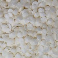 China HACCP Halal Panko Breadcrumbs Factory | Trusted Global Export Partner for sale