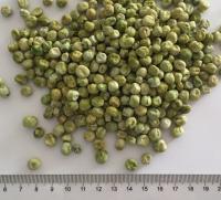 China Natural Air Dried Green Beans Whole 8% Moisture Food Grade for Bulk Supply for sale