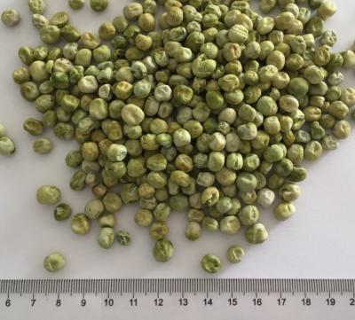 China Natural Air Dried Green Beans Whole 8% Moisture Food Grade for Bulk Supply for sale