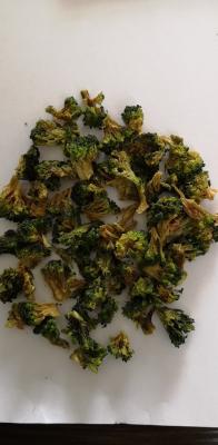 China Dehydrated Broccoli Air Dried Vegetables 10x10mm HACCP FDA Certified Moisture Under 8 for sale
