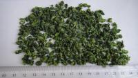China Air Dried dehydrated Green Beans cross Cut New Crop 2019 for sale
