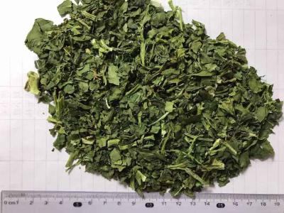 China AD Dehydrated Spinach Flakes 9x9mm New Crop ISO HACCP FDA Certified for sale
