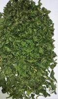 China Dehydrated Parsley Leaf 9x9mm 20kg Carton ISO HACCP FDA Certified for sale
