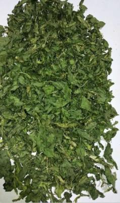 China Dehydrated Parsley Leaf 9x9mm 20kg Carton ISO HACCP FDA Certified for sale
