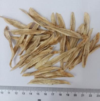China Air Dried Shaved Burdock 4x4x80mm Pharmaceutical Raw Material for Healthcare Products for sale
