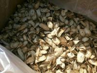 China Light Yellow Air Dried Vegetables Dried Burdock Max 10% Moisture With Round Cut Size for sale