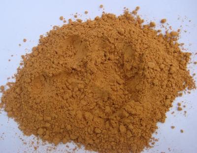 China Air Dried Tomato Powder 100 Mesh Max 7% Moisture Natural Food Grade for B2B Export for sale