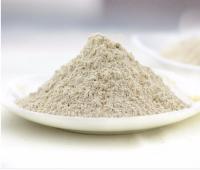 China Dehydrated Bulk Garlic Powder 100-120 Mesh Natural Color Taste HACCP ISO9001 for sale