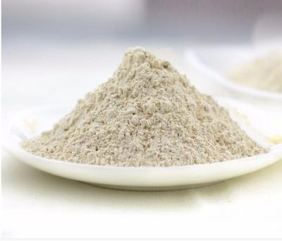 China Dehydrated Bulk Garlic Powder 100-120 Mesh Natural Color Taste HACCP ISO9001 for sale