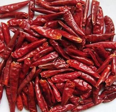China Red Bell Pepper Crushed Chilli Flakes 1-3mm Size with Max 10% Moisture and 7000-10000 SHU Heat Rating for sale