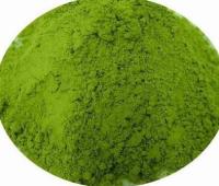 China Natural Food Grade Dehydrated Young Barley Leaf Powder 120 Mesh Original Flavor for sale
